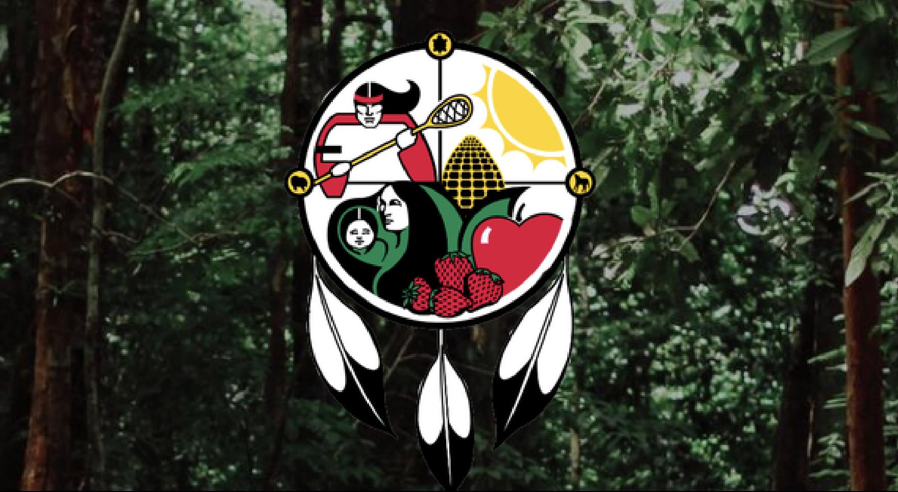 Ann Macaulay | Participatory Research - Medics Voices